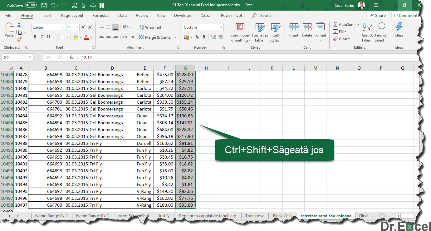 Top 20 tips and tricks Excel (cu video) - Dr.Excel - Servicii profesionale de instruire Excel ...