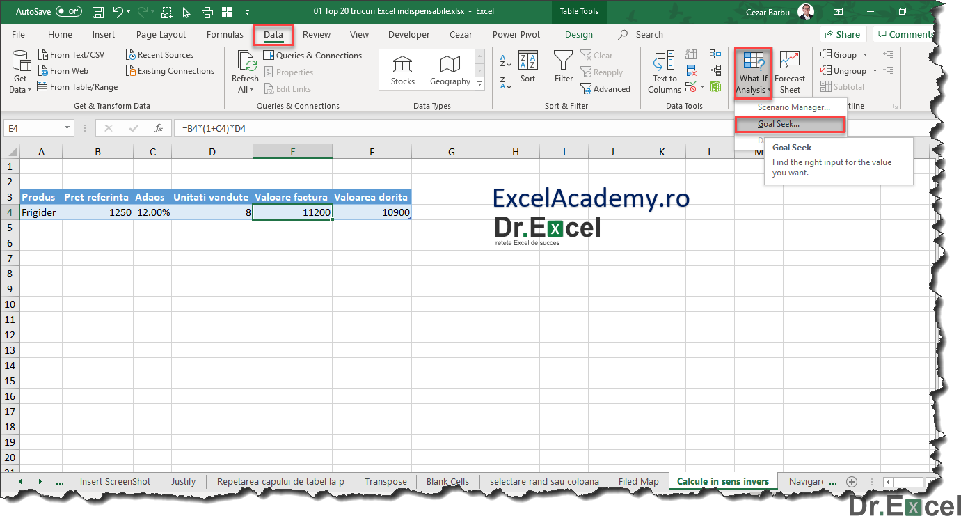 Top 20 tips and tricks Excel (cu video) - Dr.Excel - Servicii ...