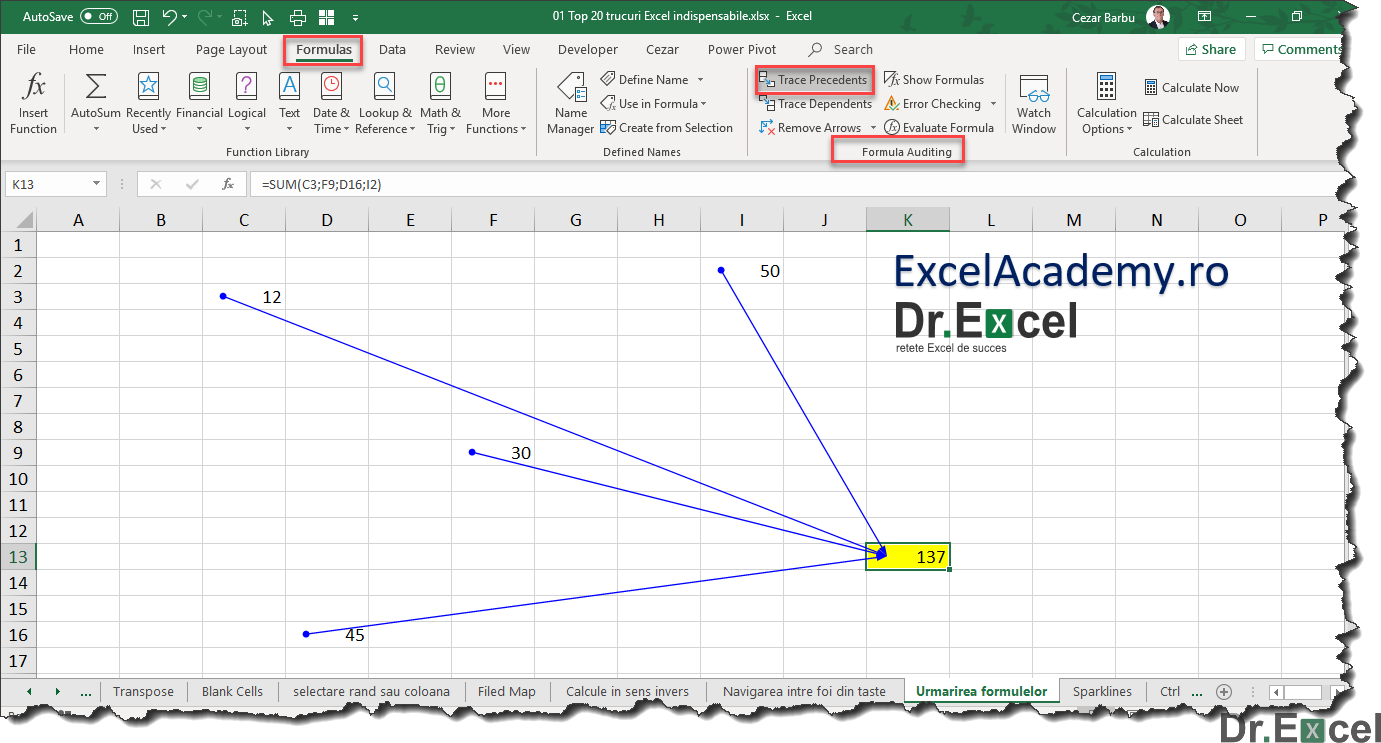 Top 20 tips and tricks Excel (cu video) - Dr.Excel - Servicii ...