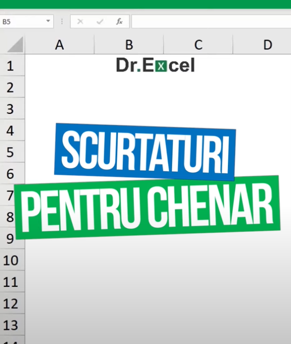 Cum Poți să pui Chenare Celulelor din Excel folosind Scurtăturile din ...